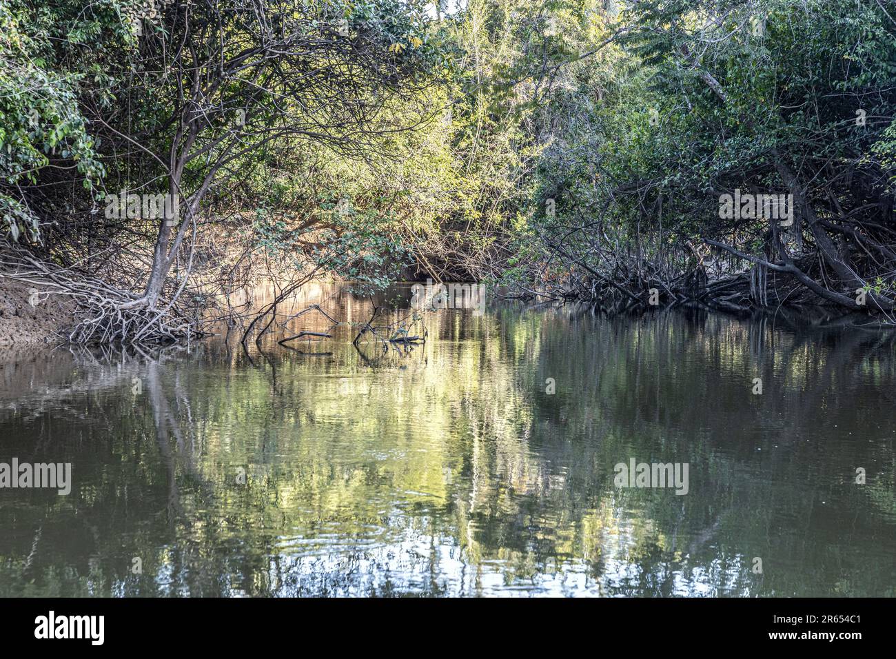 Rupununi River, Rupununi Savannah, Upper Takutu-Upper Essequibo region ...