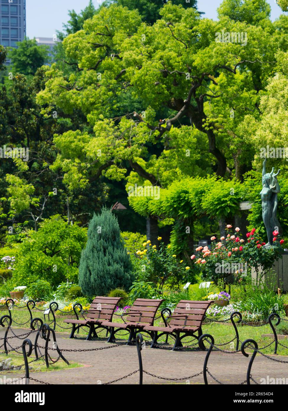 Spring verdure hi-res stock photography and images - Alamy