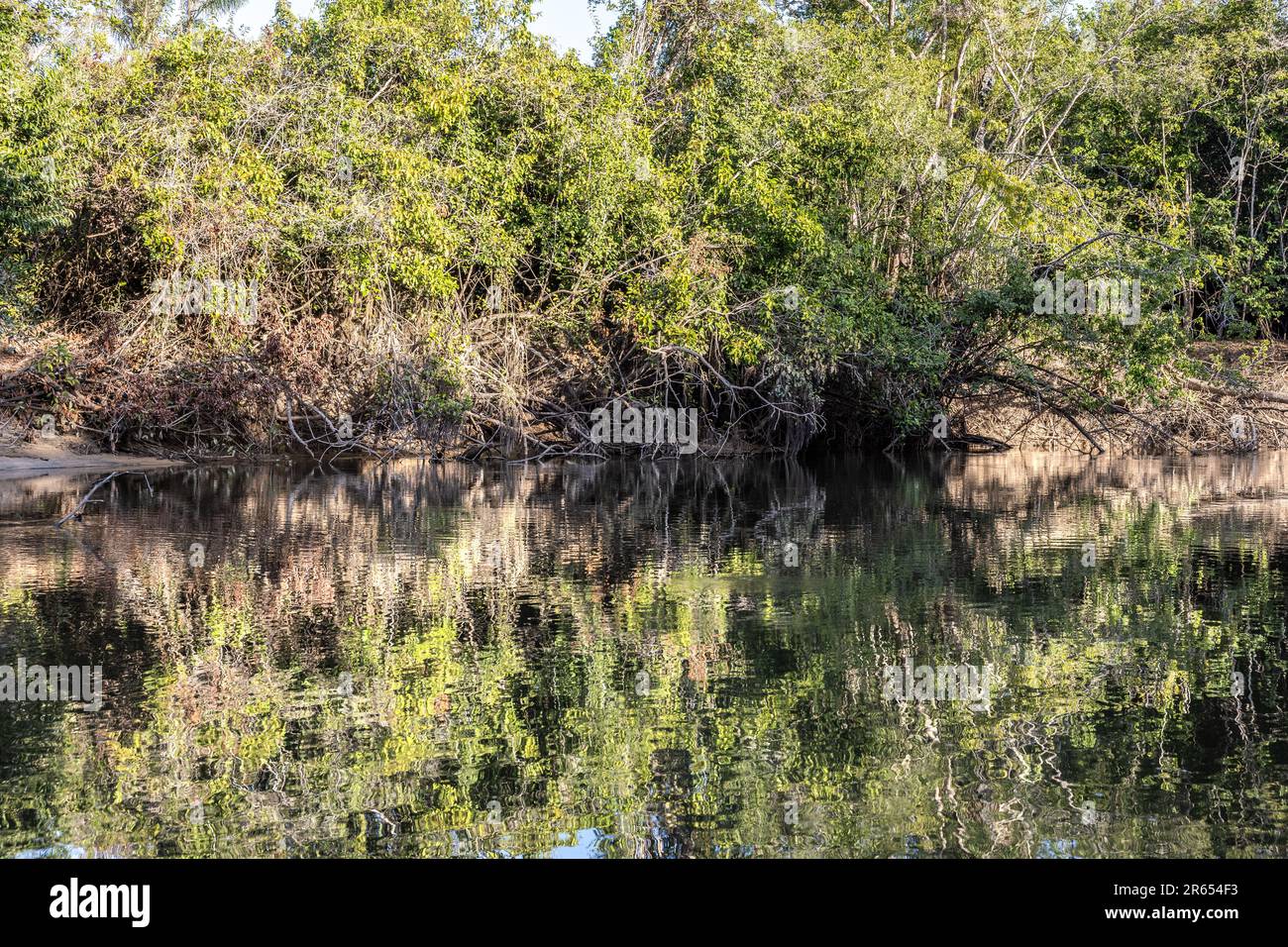 Rupununi River, Rupununi Savannah, Upper Takutu-Upper Essequibo region ...
