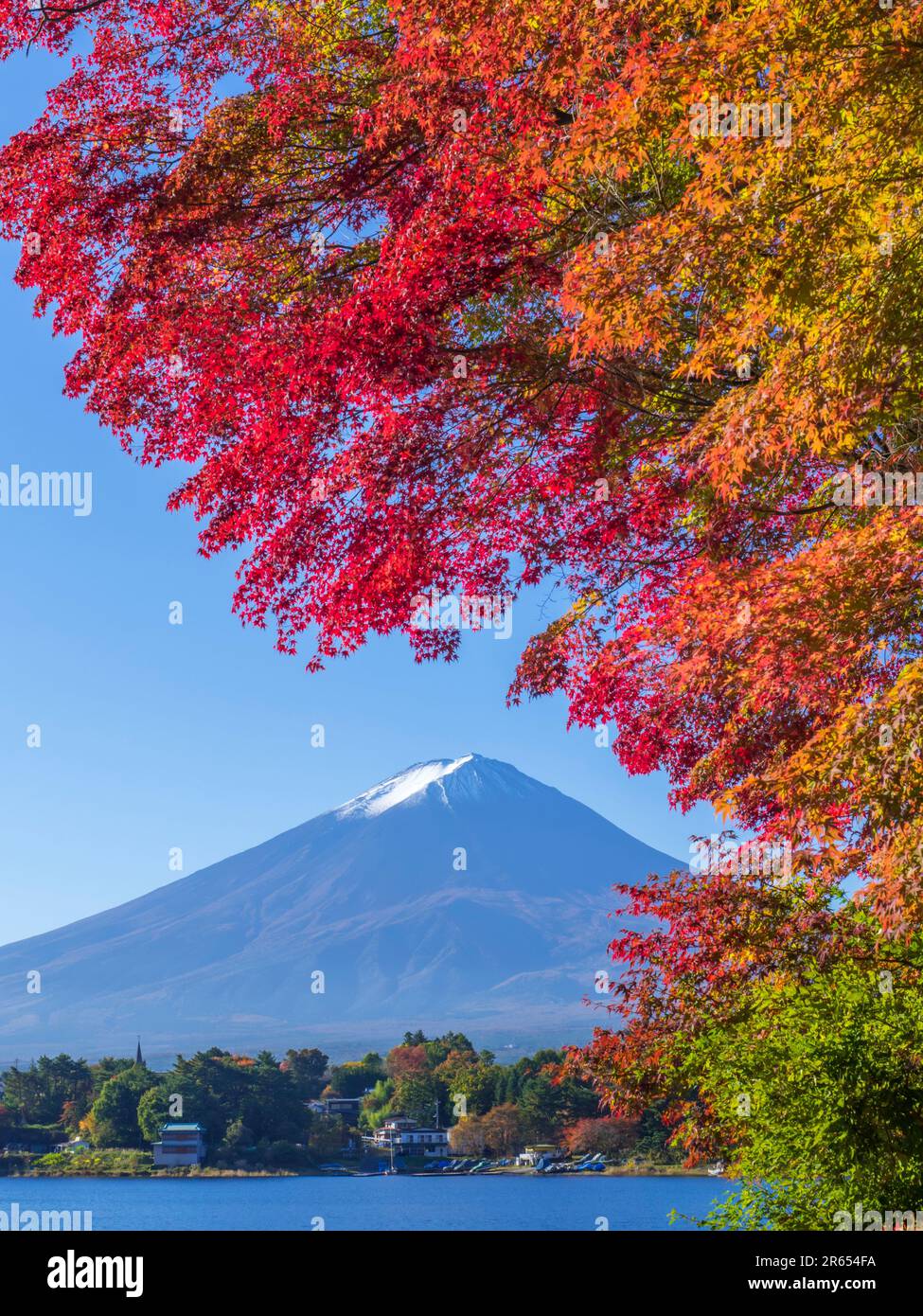 Autumn Leaves and Mount Fuji Stock Photo - Alamy