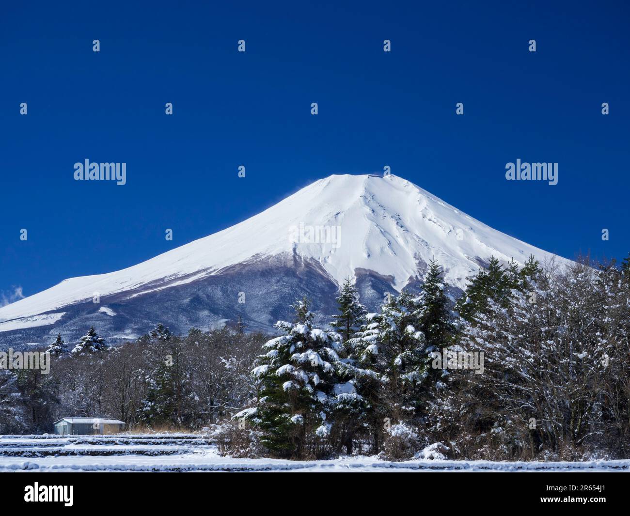 Mount Fuji in winter Stock Photo - Alamy