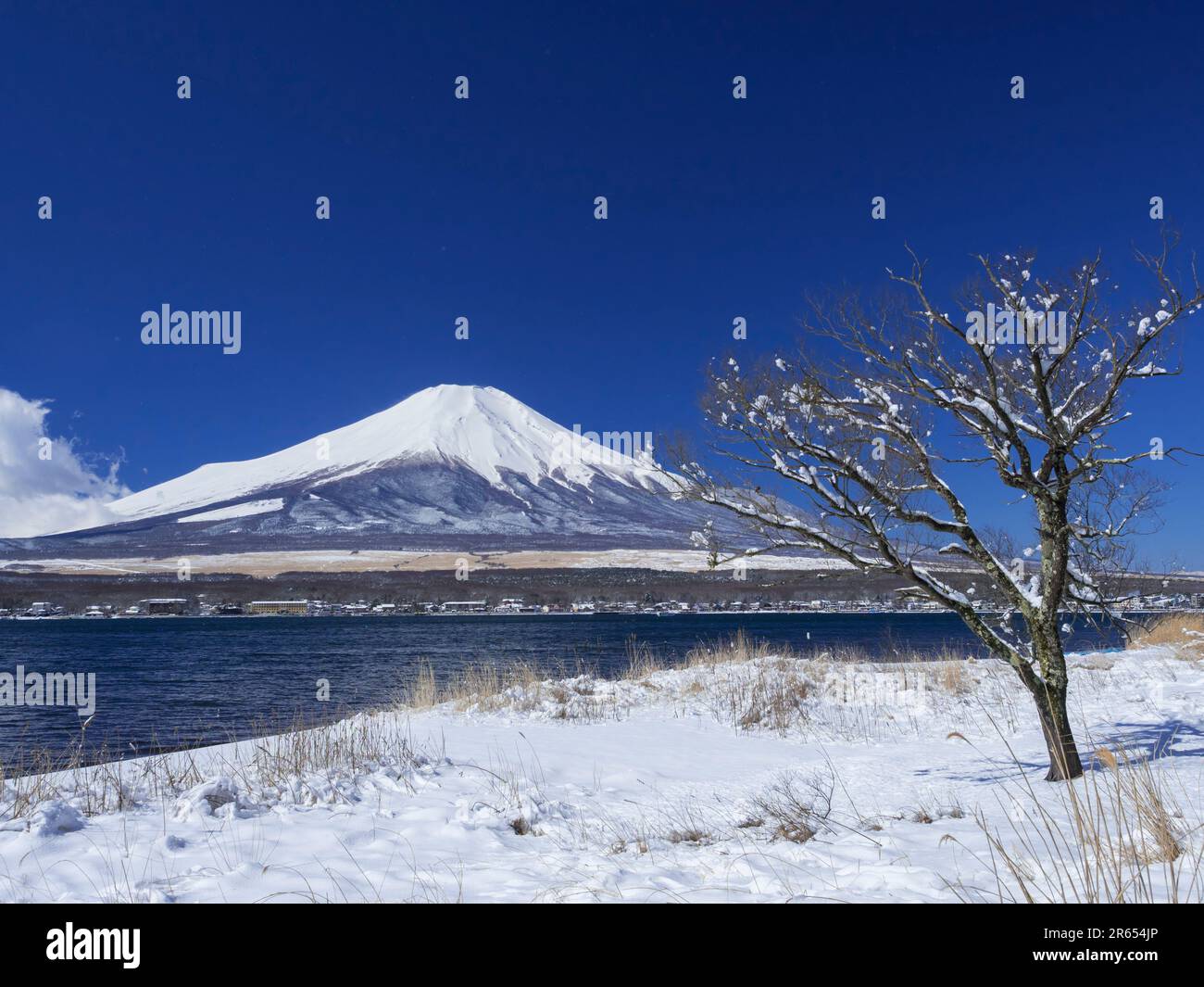 Fuji and Yamanakako in Winter Stock Photo - Alamy