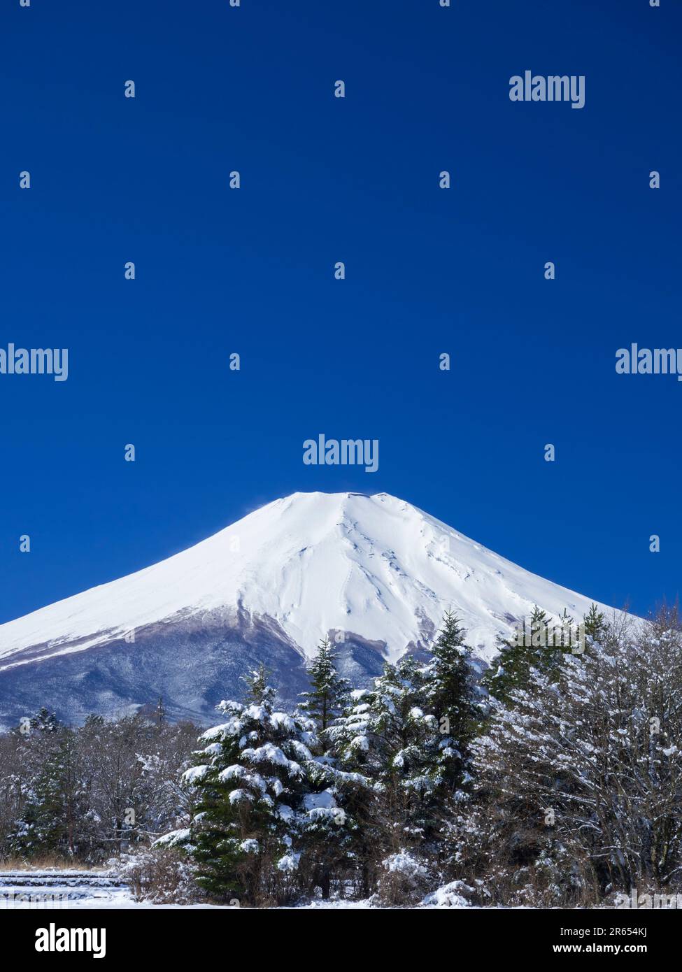 Mount Fuji in winter Stock Photo - Alamy