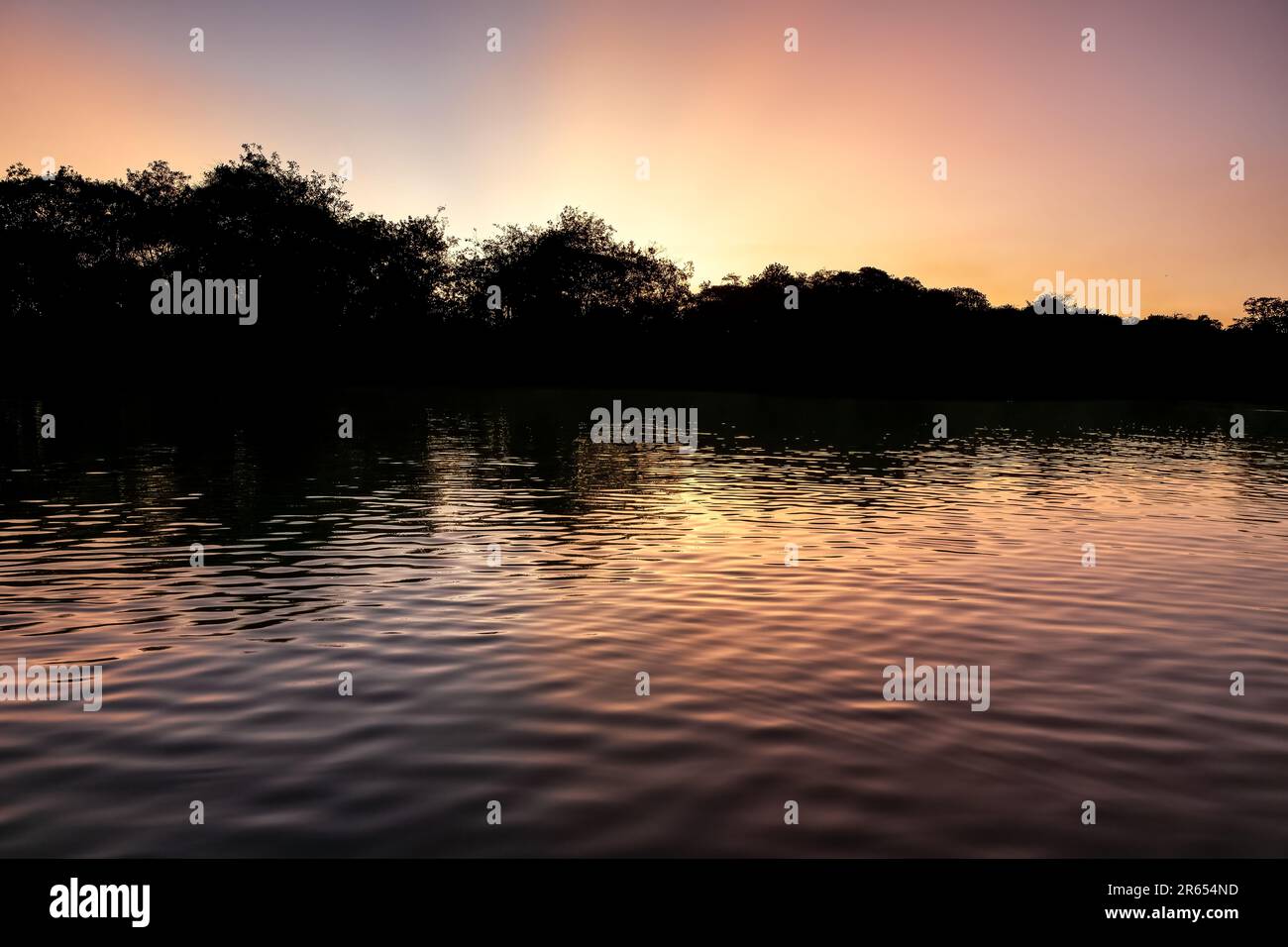 Guyana rupununi landscape hi-res stock photography and images - Alamy