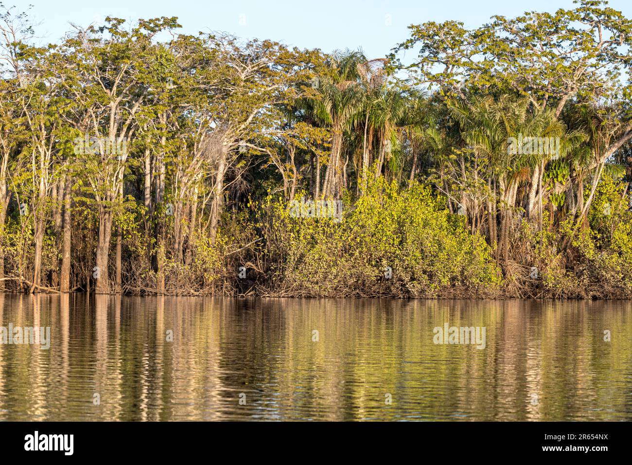Rupununi River, Rupununi Savannah, Upper Takutu-Upper Essequibo region ...