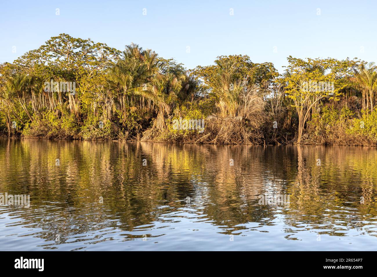 Rupununi River, Rupununi Savannah, Upper Takutu-Upper Essequibo region ...