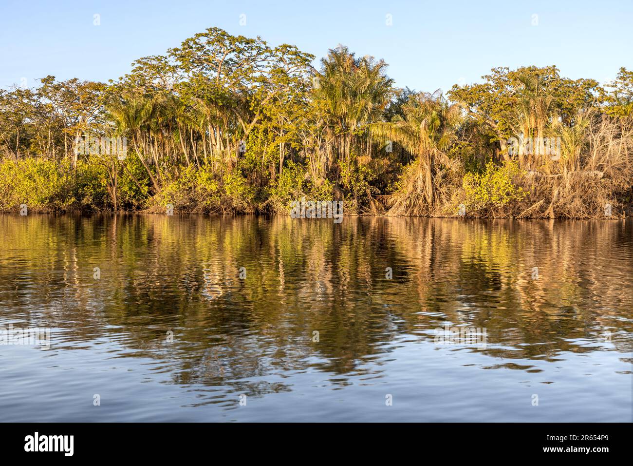 Rupununi River, Rupununi Savannah, Upper Takutu-Upper Essequibo region ...