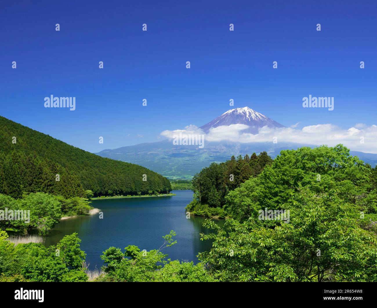 Mt. Fuji and Tanuki Lake Stock Photo - Alamy