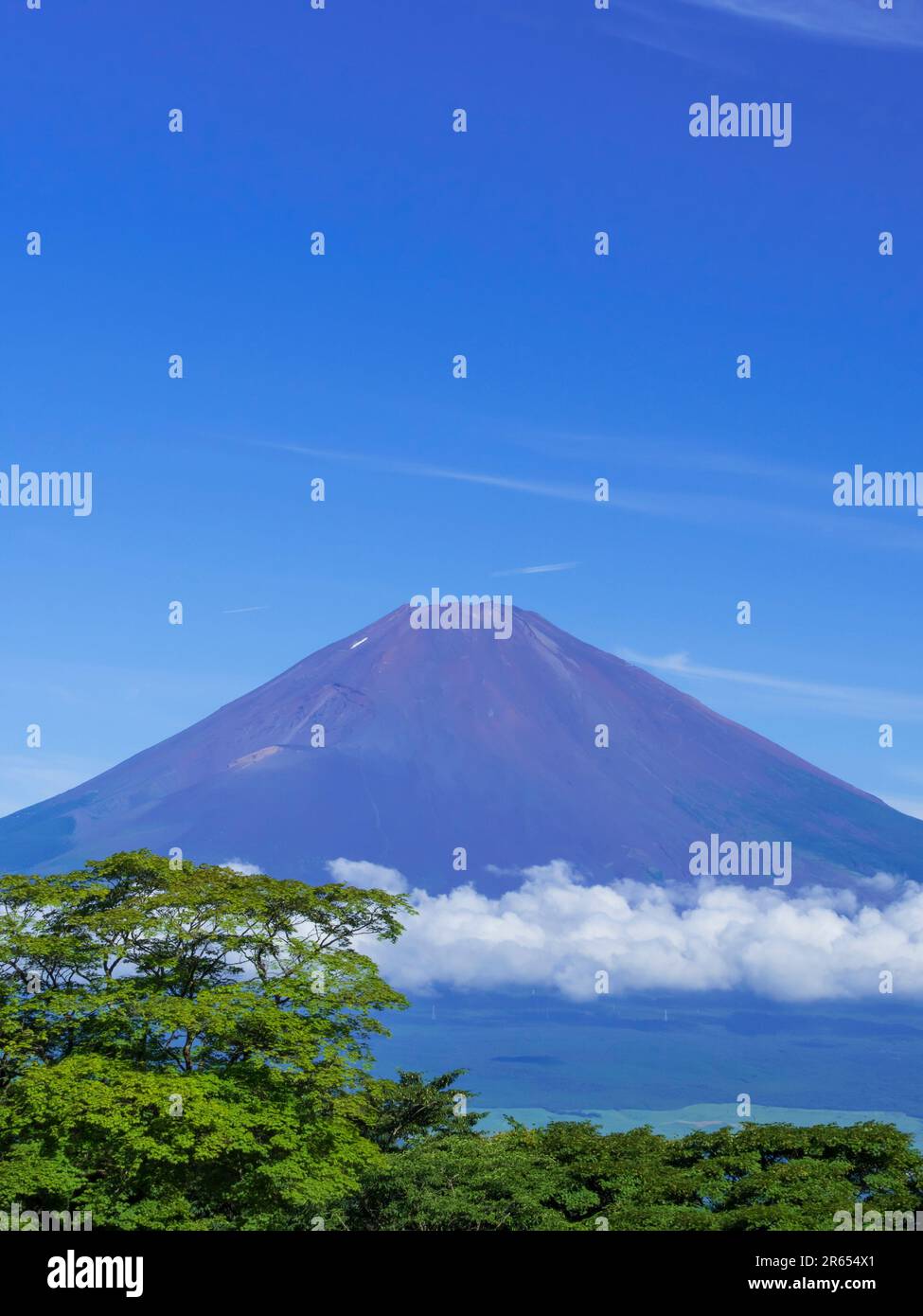 Mount Fuji in summer Stock Photo - Alamy