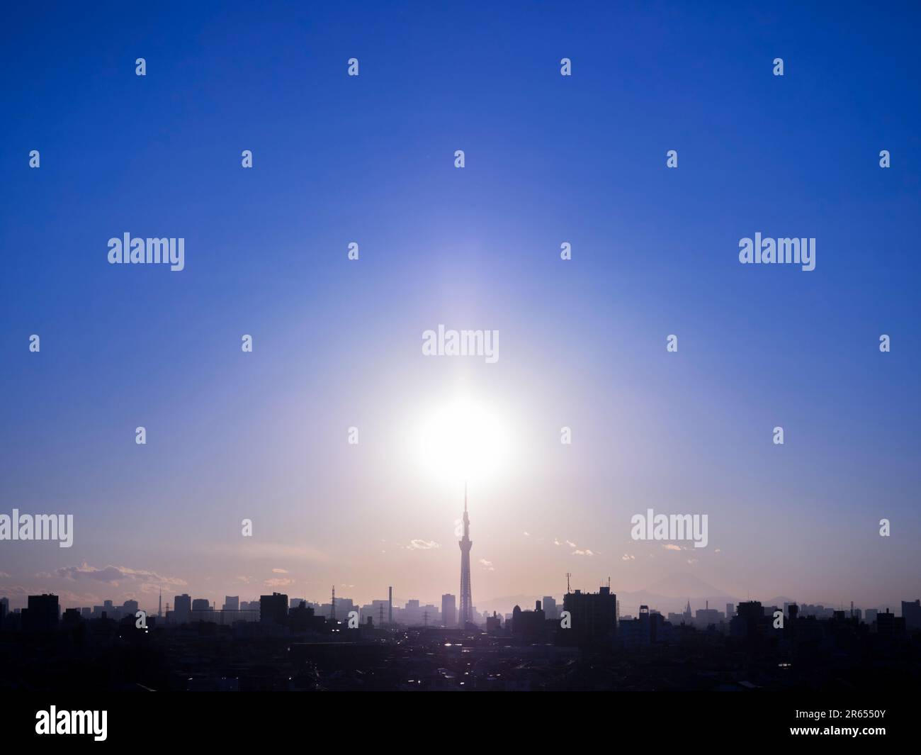 Tokyo japan january 2017 day hi-res stock photography and images - Alamy
