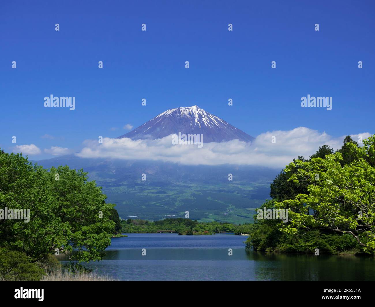 Mt. Fuji and Tanuki Lake Stock Photo - Alamy