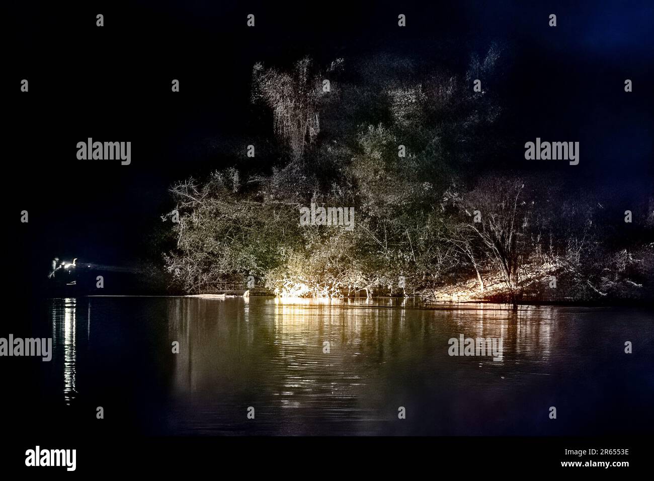 Searching for Black Caiman for research purposes,at night, Rupununi ...