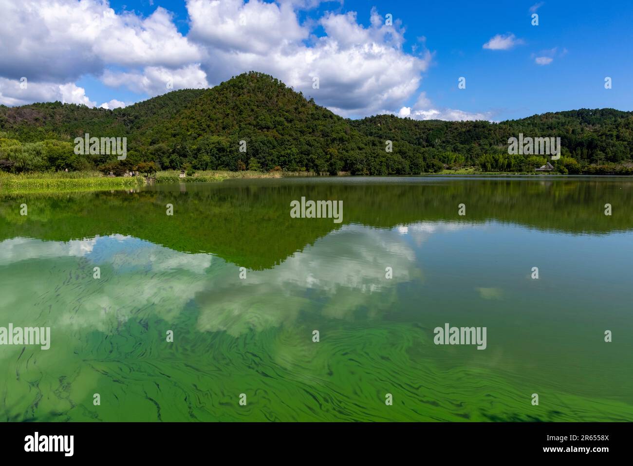 Henshoji hi-res stock photography and images - Alamy
