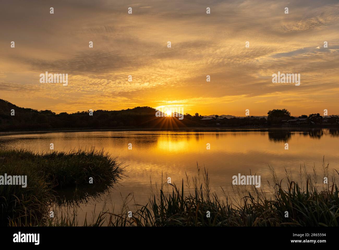 Nikko reed hi-res stock photography and images - Alamy