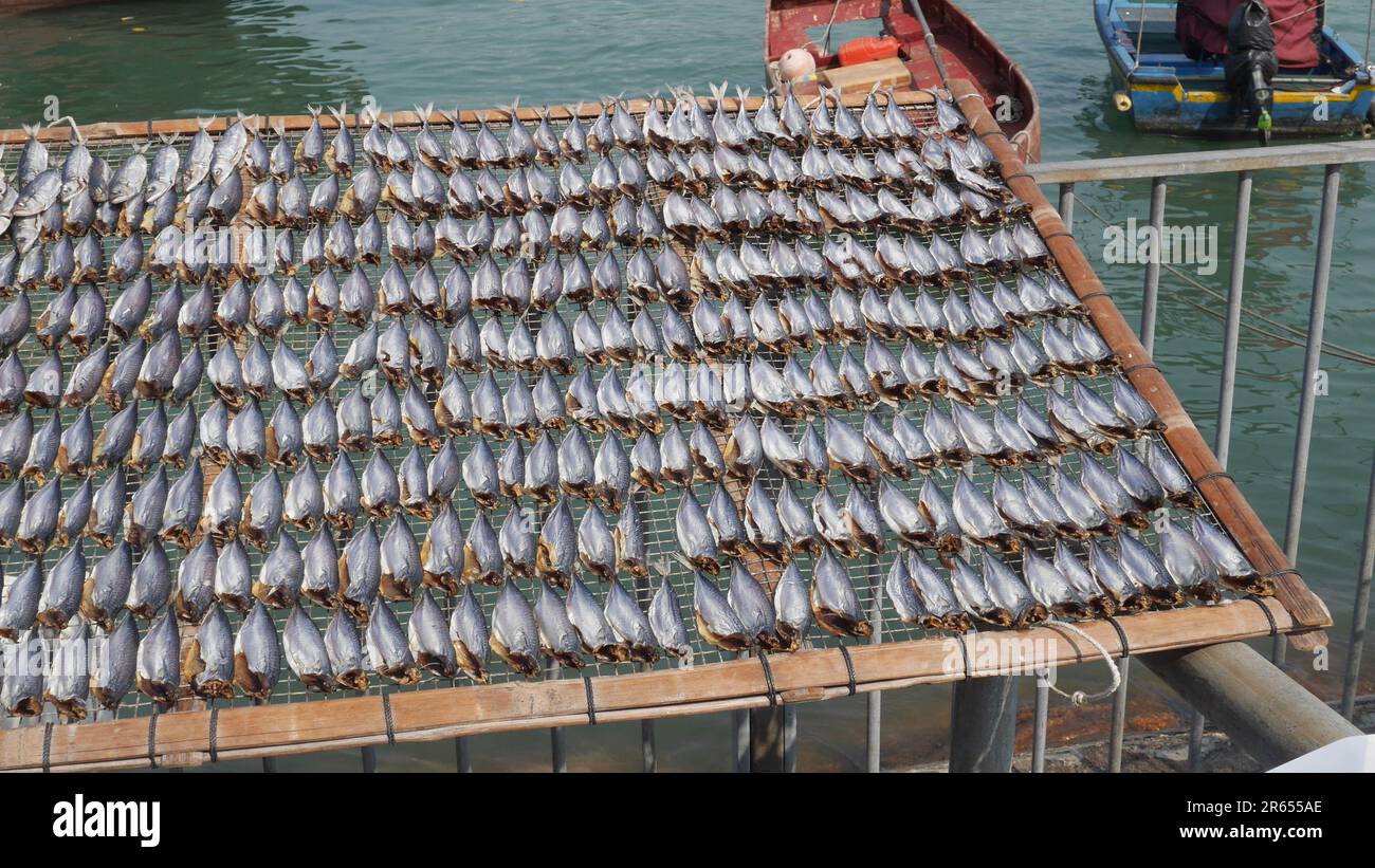 A scene of traditional coast with fish hung up to dry on a beach shore ...