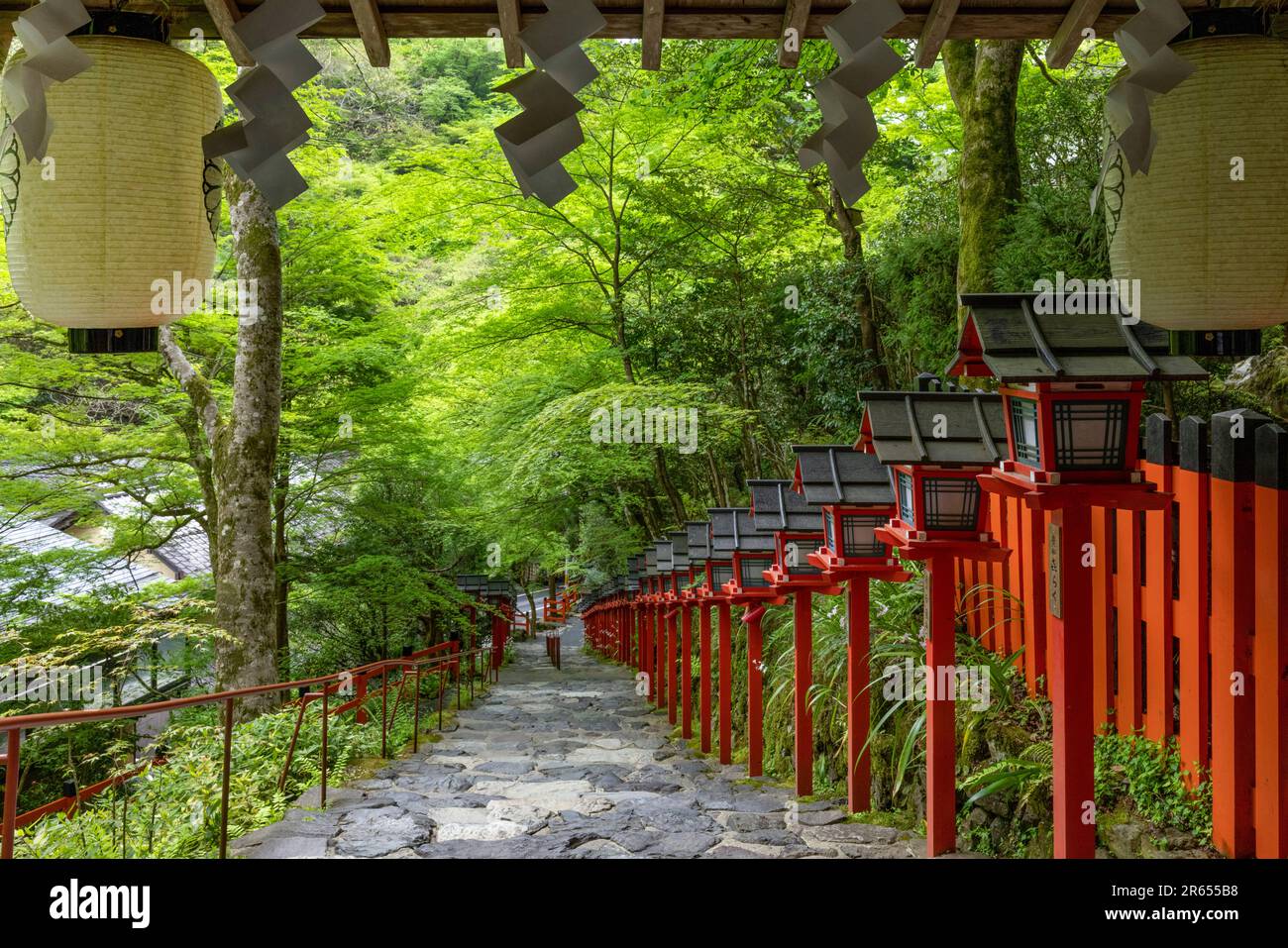 Approach to Kifune Shrine with fresh green Stock Photo - Alamy