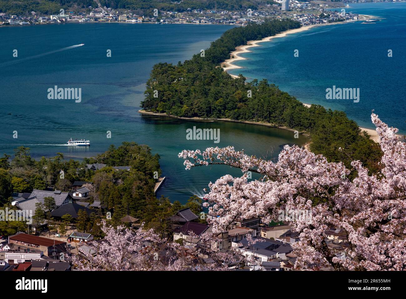 Amano-hashidate and cherry blossoms Stock Photo - Alamy