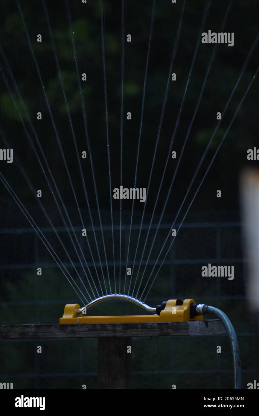 Streams of water shoot out of an oscillating sprinkler onto a small ...