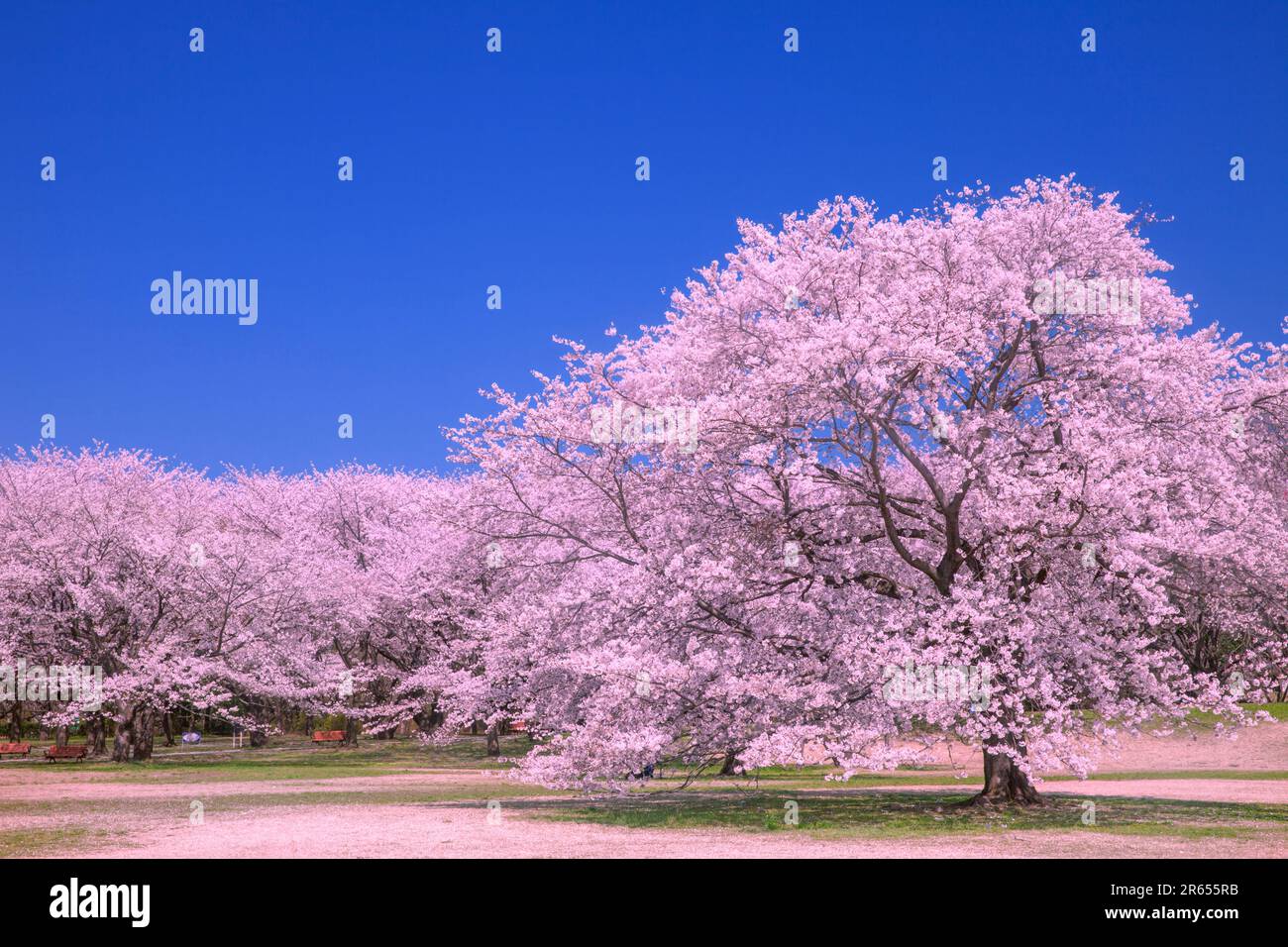 7 park row hi-res stock photography and images - Alamy