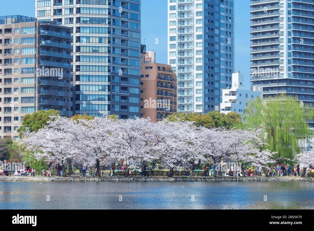 Flower trees and buildings hi-res stock photography and images - Alamy