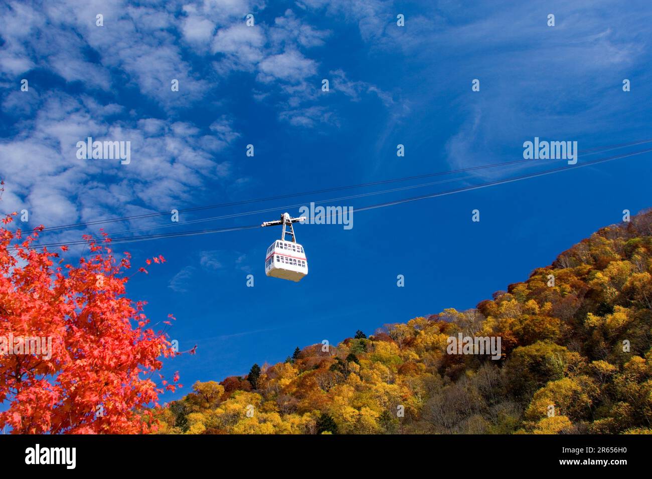 Autumn Leaves and Shin Hotaka Ropeway Stock Photo - Alamy