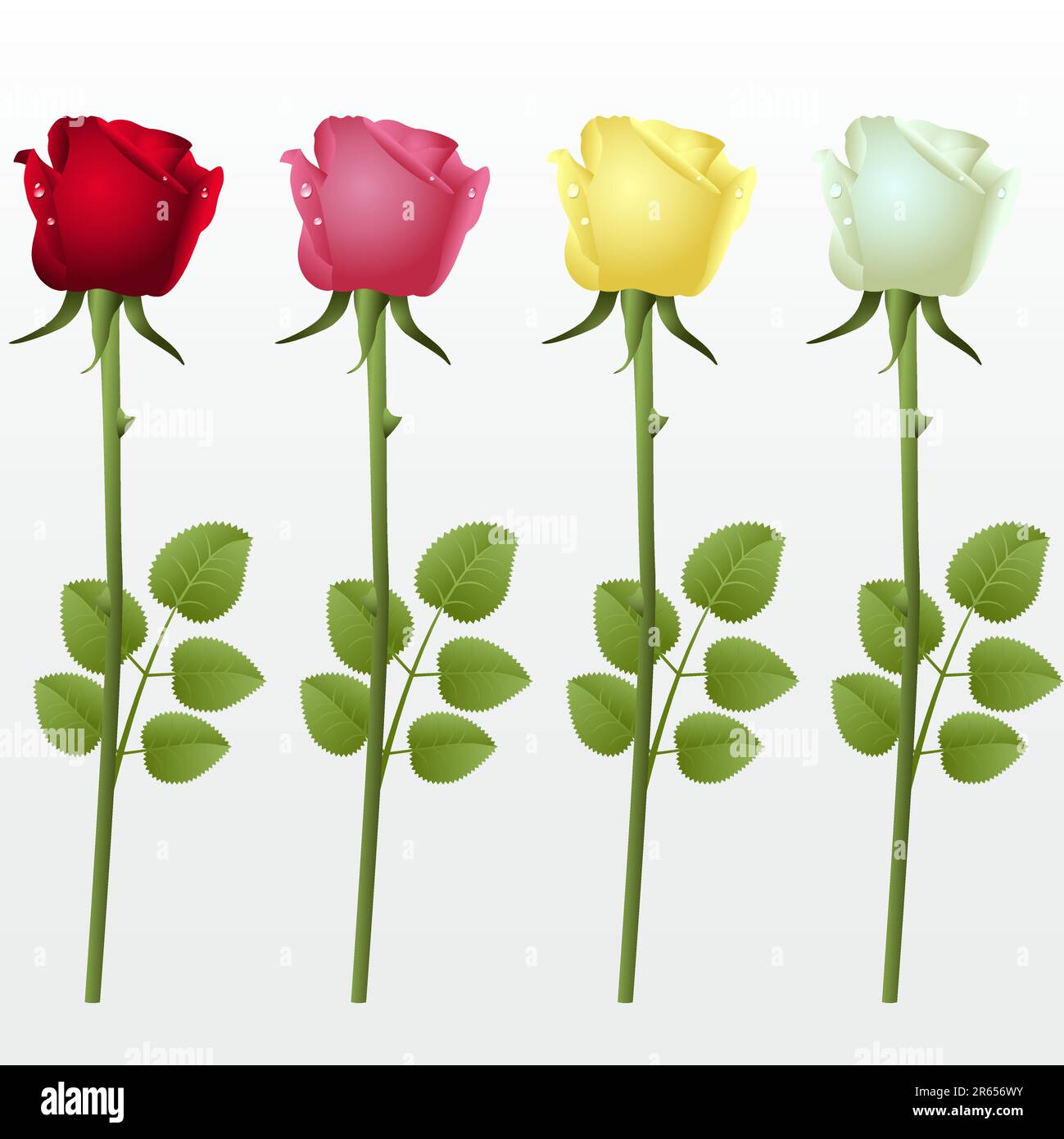 Pink rose bud color Stock Vector Images - Alamy