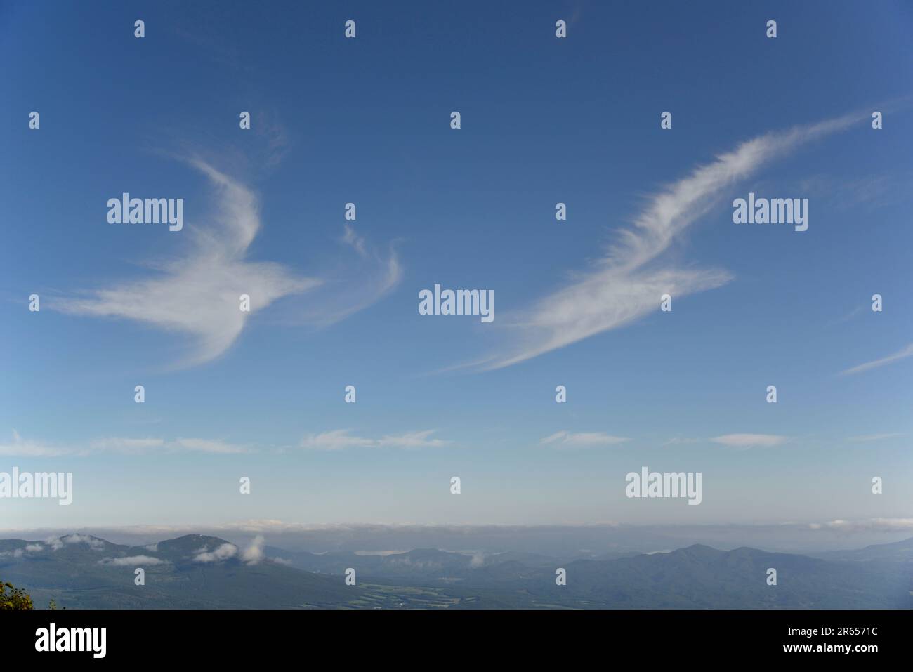 Clouds Like Birds Stock Photo Alamy