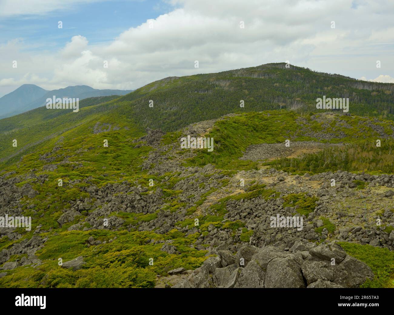 The inner garden of Tengu on Mt. Yatsugatake Stock Photo - Alamy