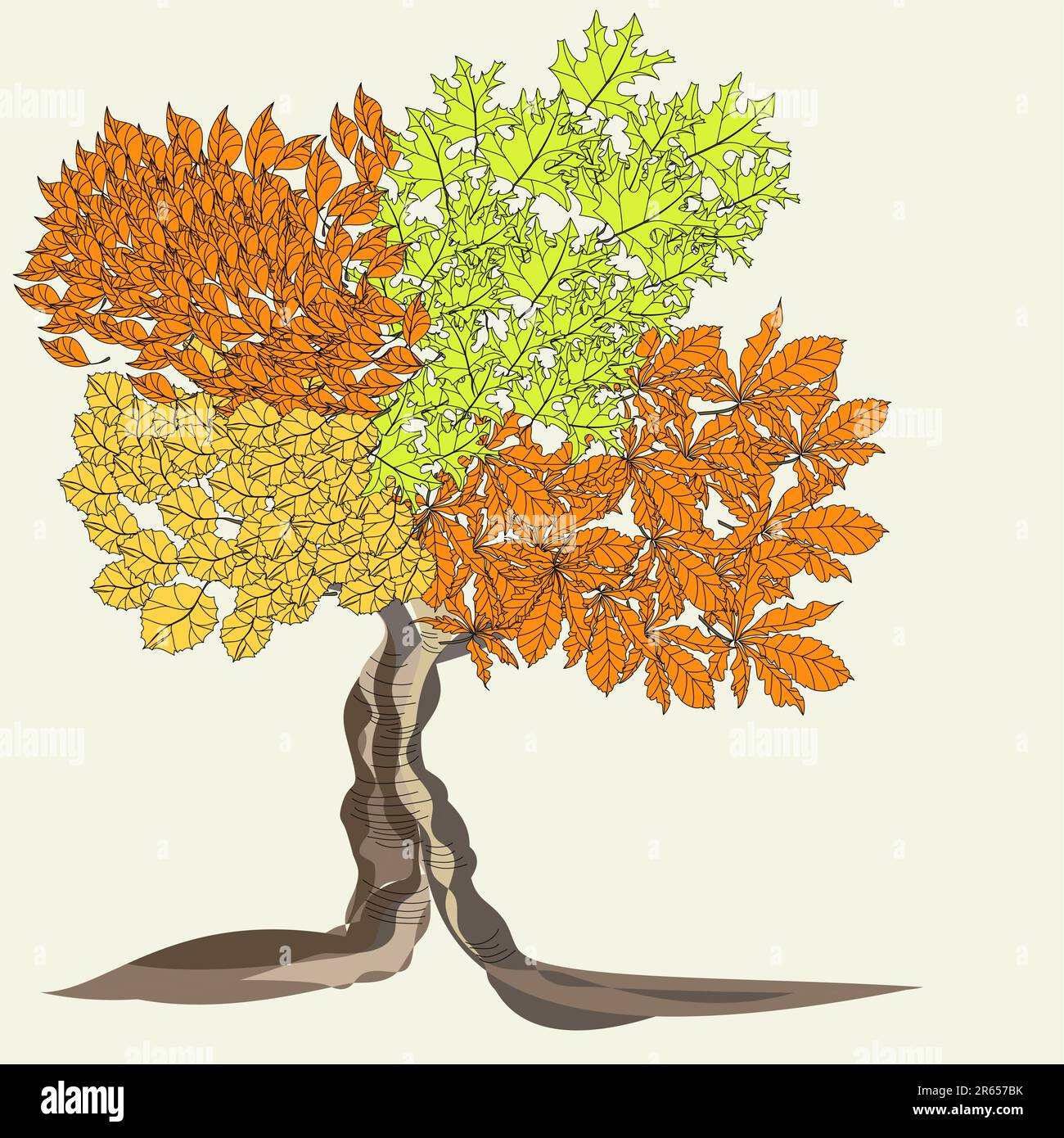 Autumn tree garden border Stock Vector Images - Alamy