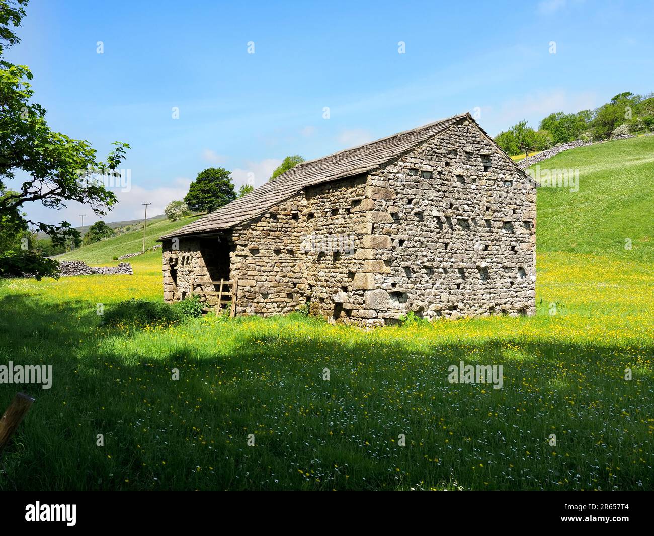 Field Barn and buttercup meadows near Hubberholme Upper Wharfedale ...
