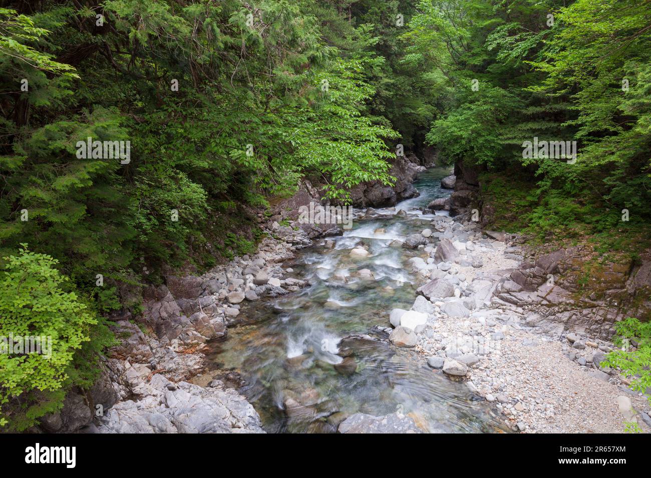 Emerald season hi-res stock photography and images - Alamy