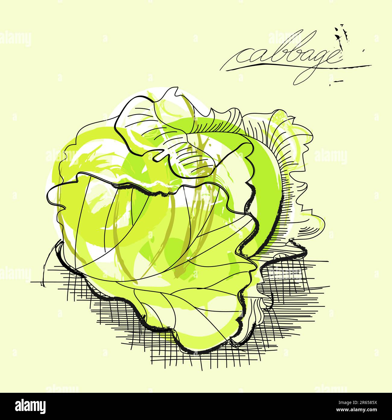 Cabbage picture Stock Vector Images - Alamy
