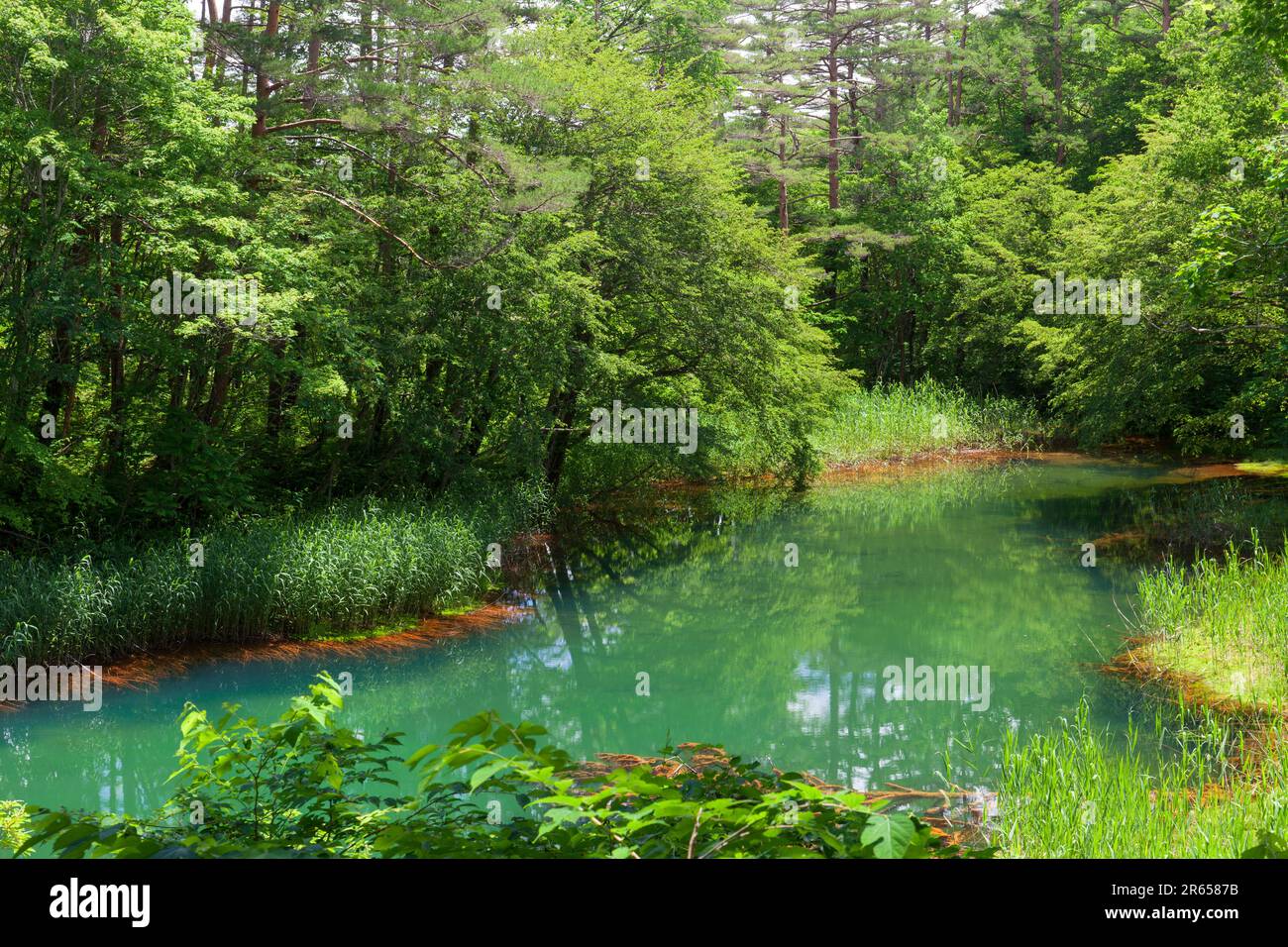 Japan bandai swamp hi-res stock photography and images - Alamy