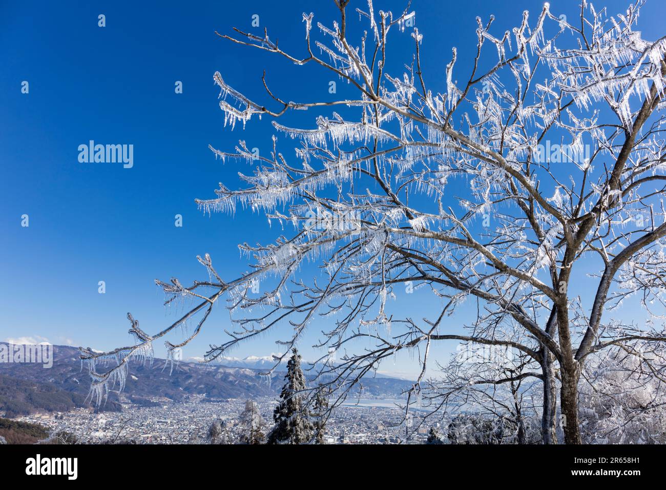 Rain ice and blue sky Stock Photo - Alamy