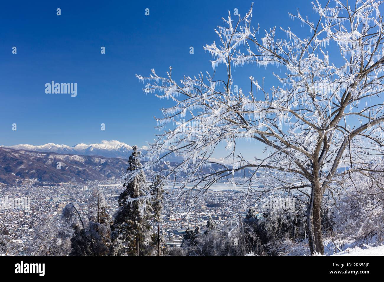 Rain ice and blue sky Stock Photo - Alamy