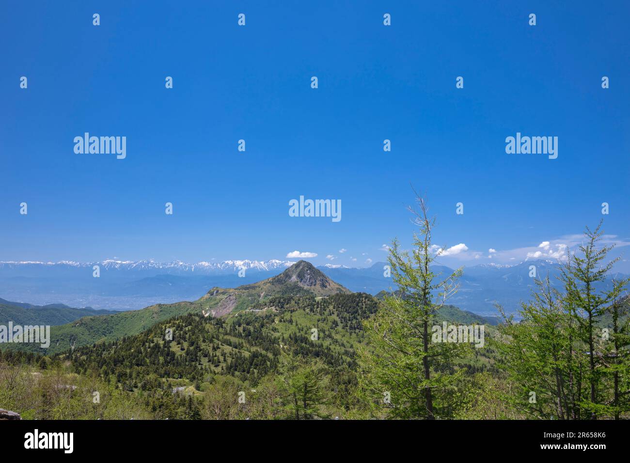 Sunny highlands hi-res stock photography and images - Alamy