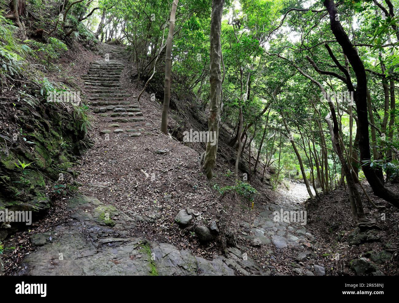 Toyama Hirami Road in Kumano Ancient Road Oheji Stock Photo - Alamy