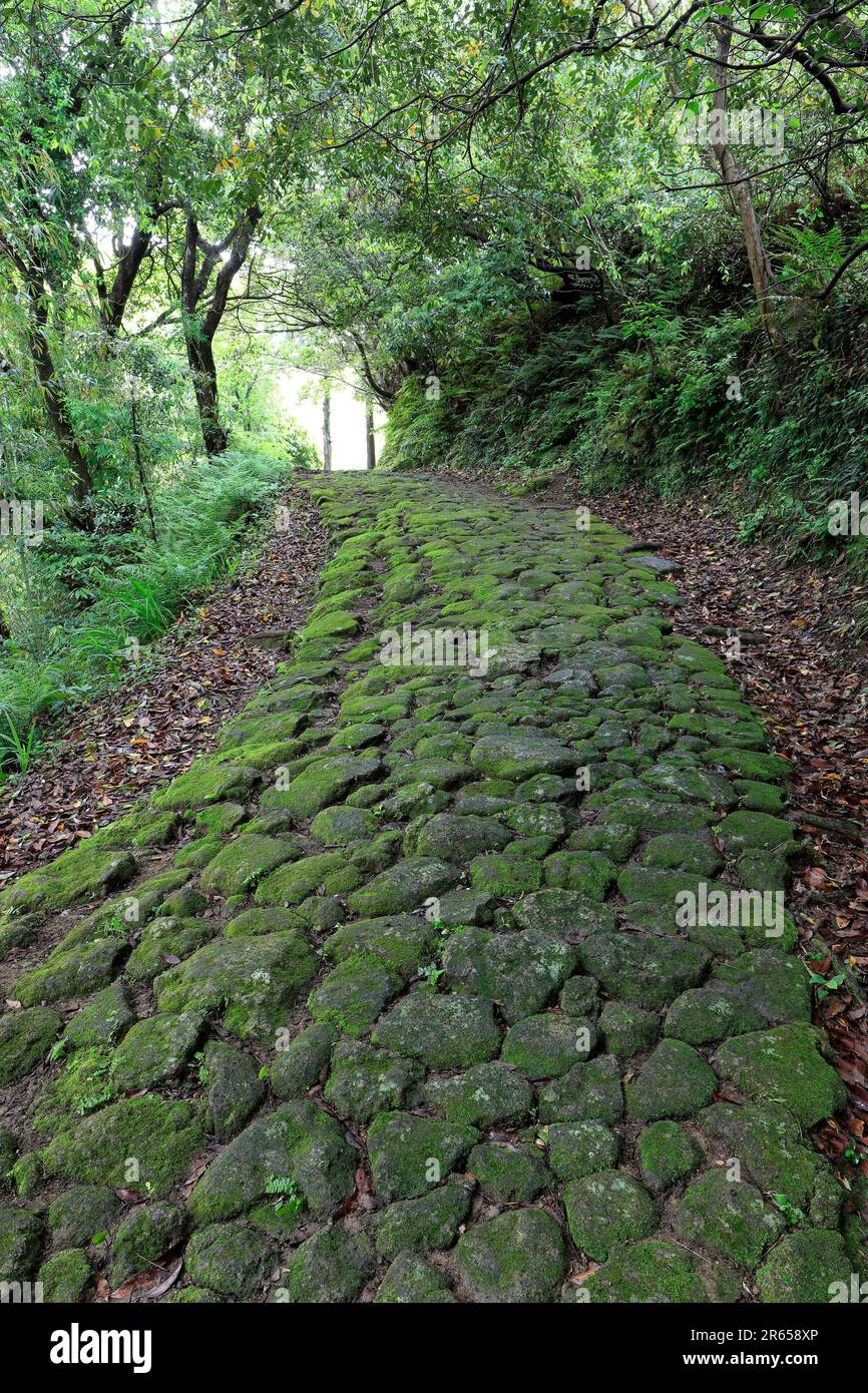 Koyasaka stone pavement on Kumano Kodo Stock Photo - Alamy