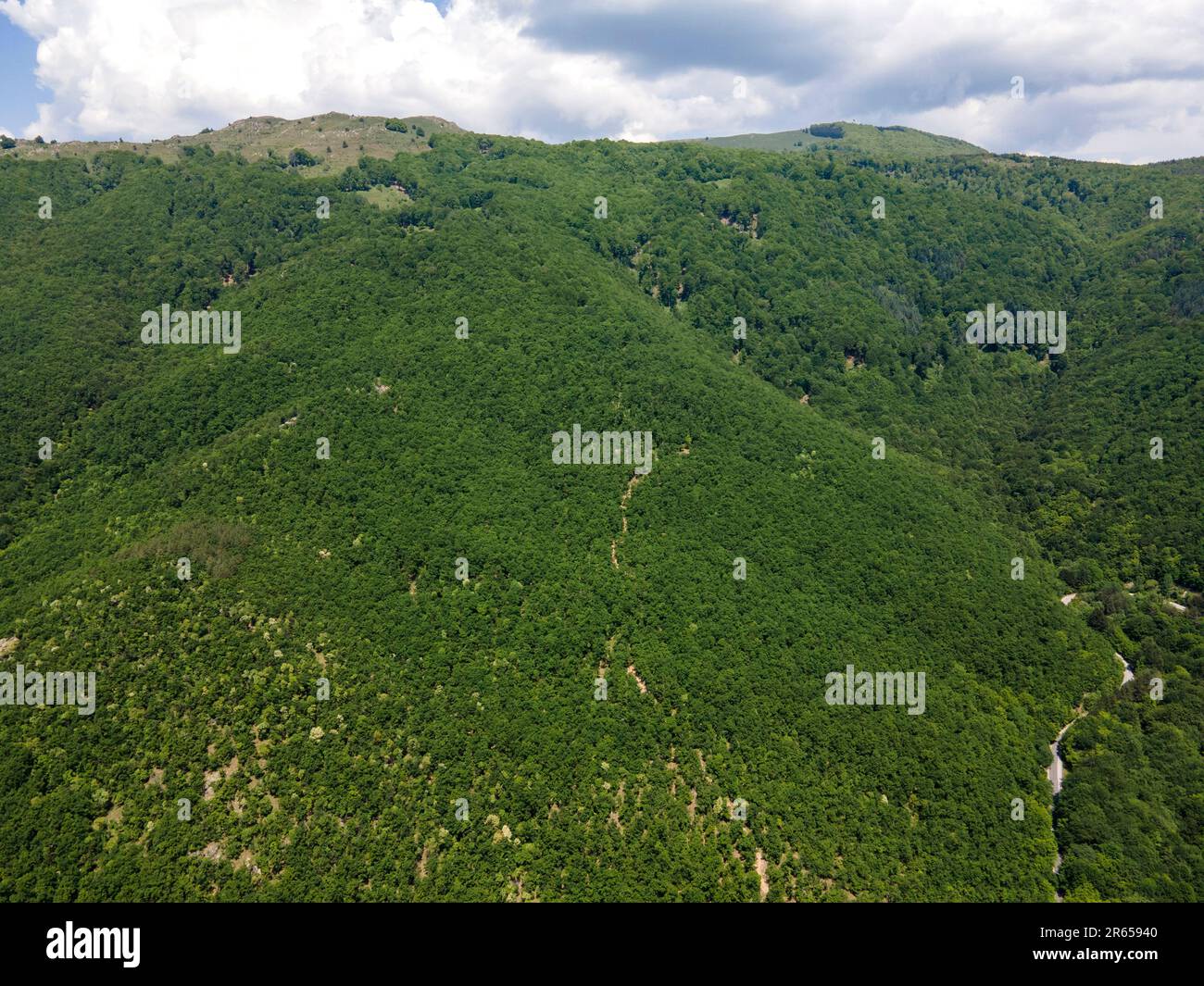 Strelcha hi-res stock photography and images - Alamy
