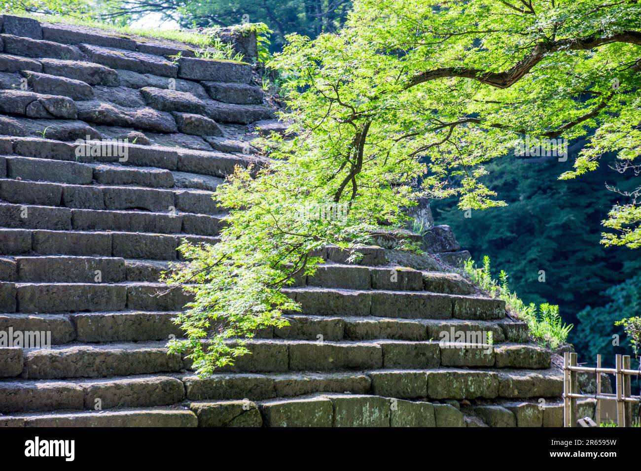 Samurai running at Tsurugajo Castle Stock Photo - Alamy