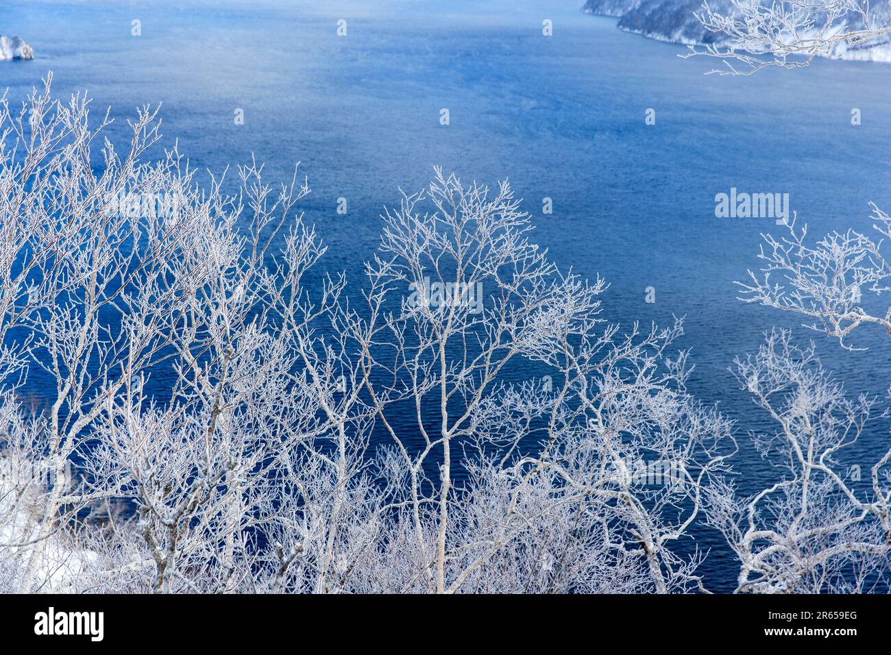 Midwinter morning hi-res stock photography and images - Alamy