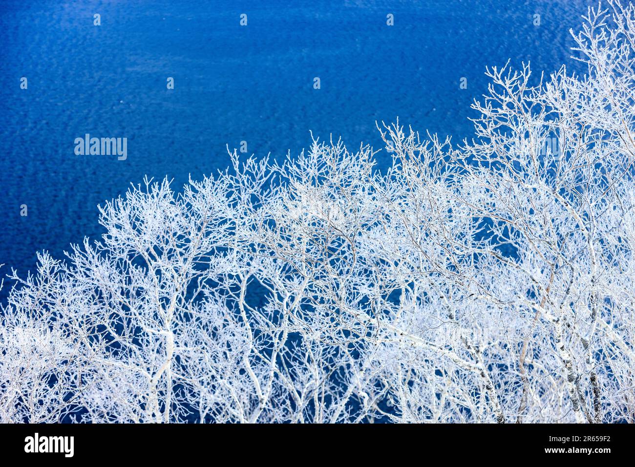 Midwinter morning hi-res stock photography and images - Alamy