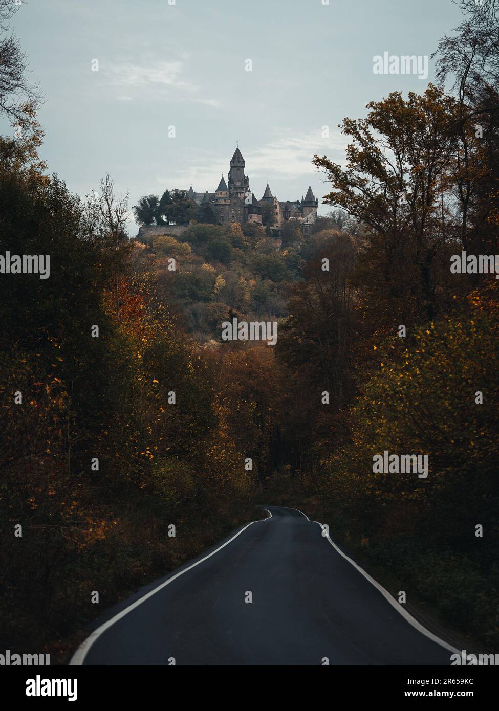 A scenic road in Germany with tall trees on either side and an ancient ...