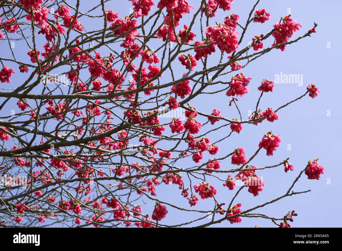 Taiwan morning hi-res stock photography and images - Alamy