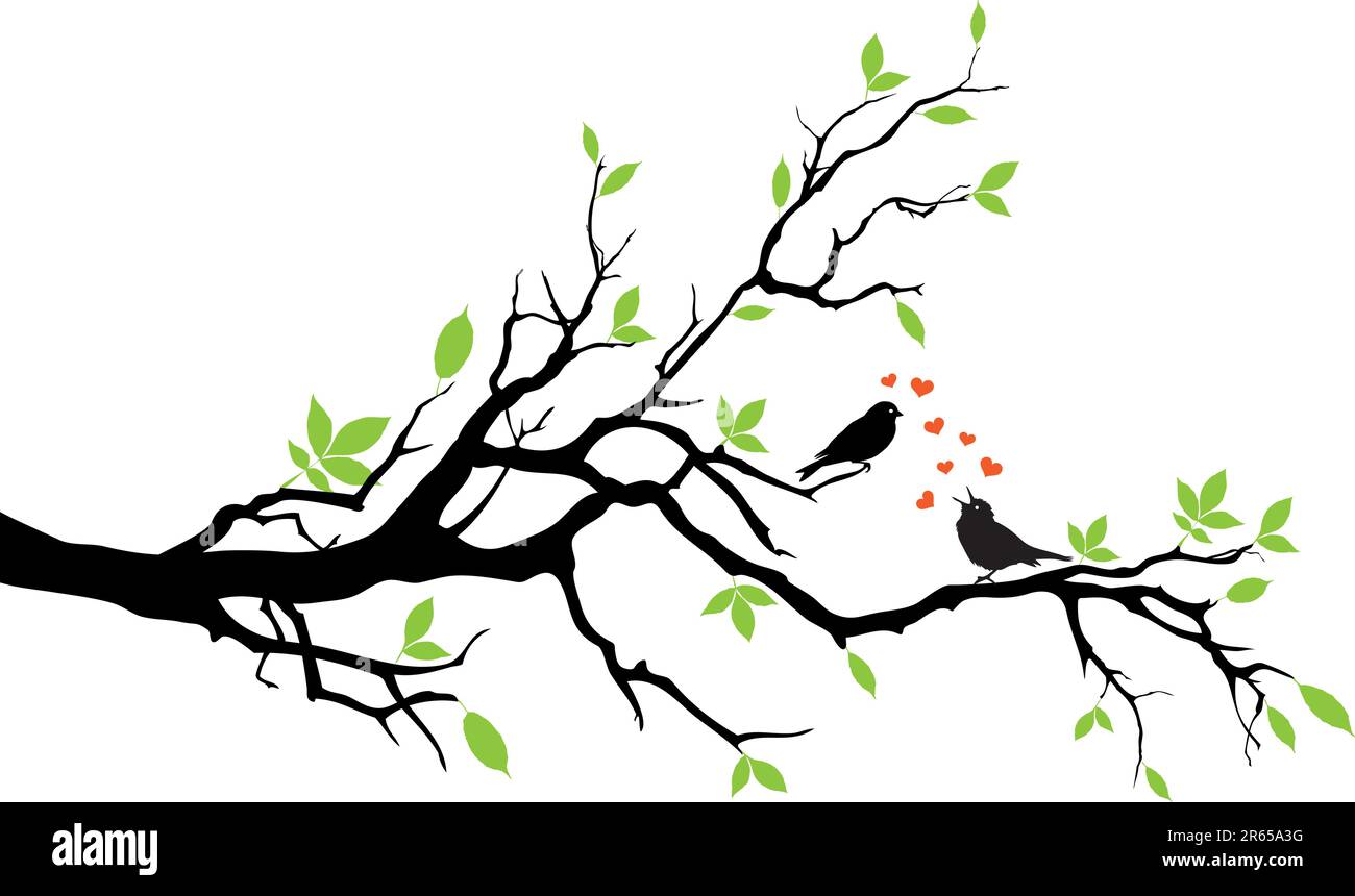 Two birds sitting on Stock Vector Images - Alamy