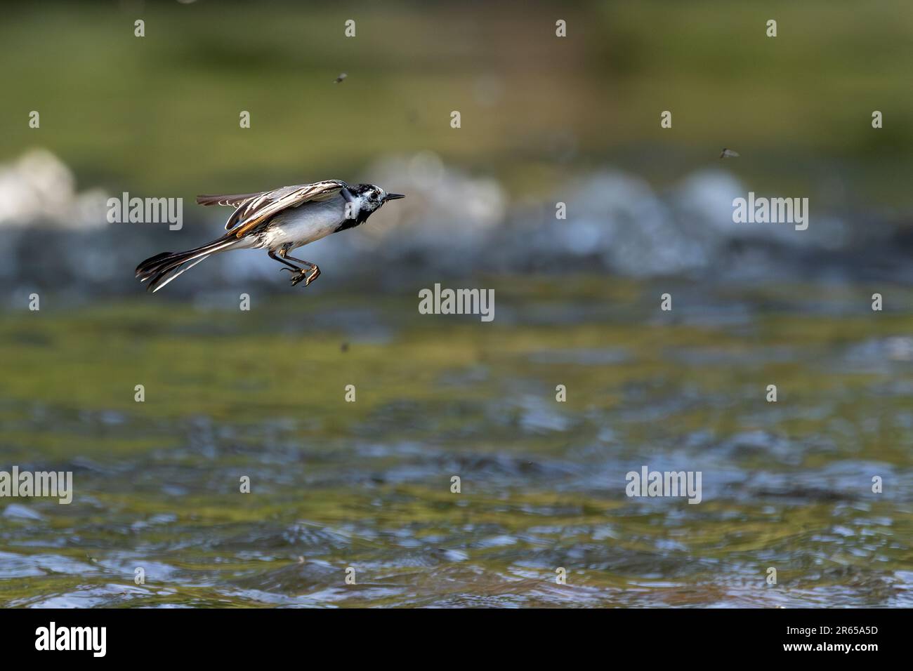 In midflight hi-res stock photography and images - Alamy