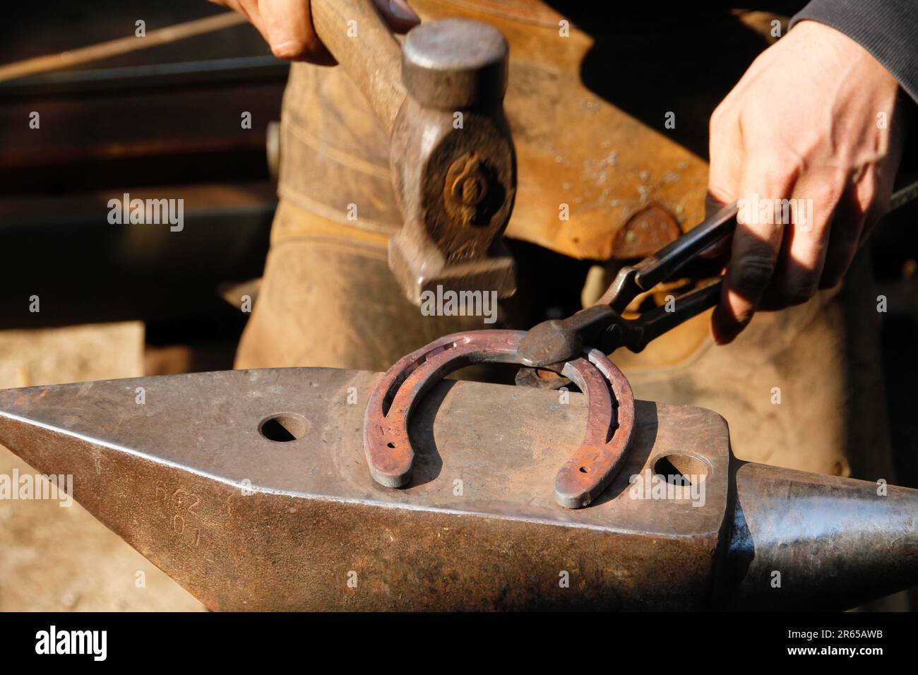 A close up of a man using a hammer to shape a horseshoe on a workbench ...