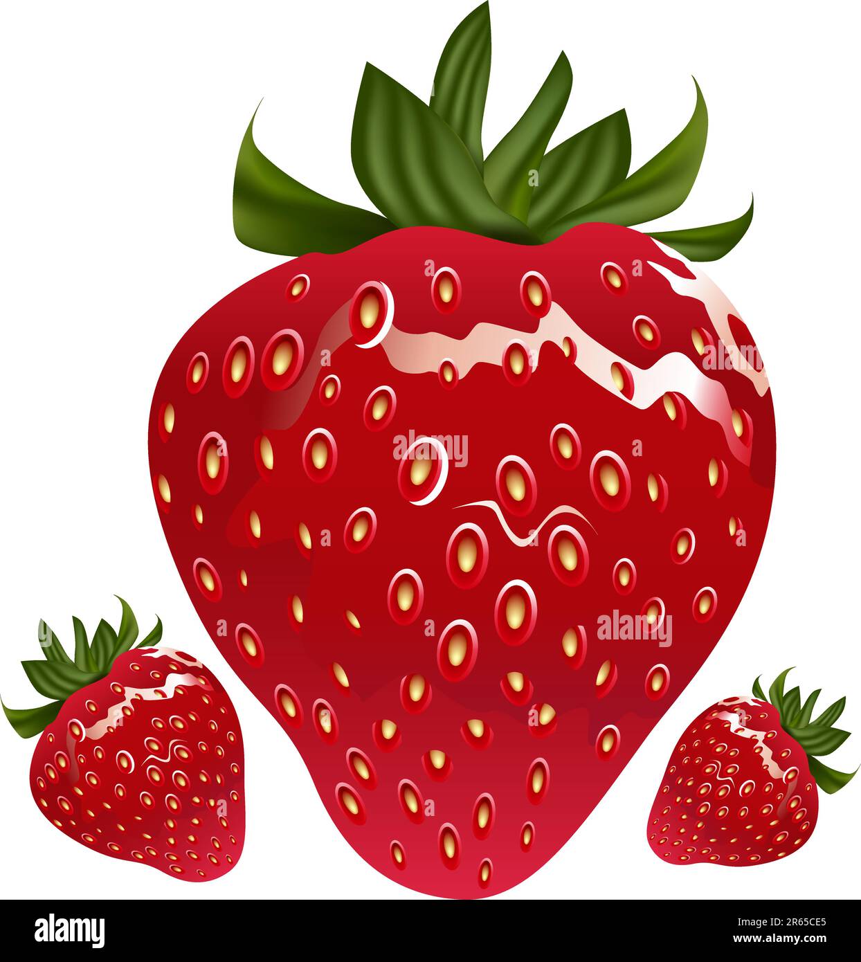 An image of a realistic strawberry Stock Vector Image & Art - Alamy