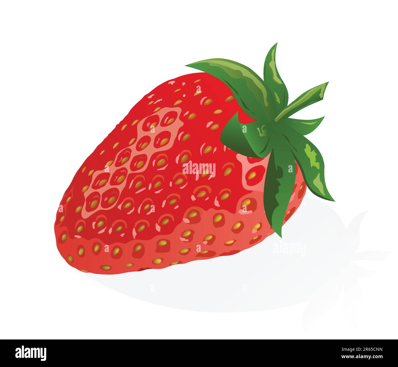 Strawberry. White Background Stock Vector Image & Art - Alamy