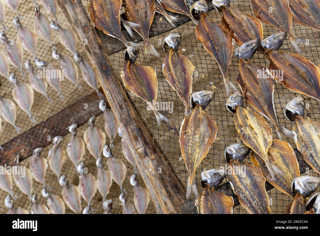 Gutted fish is dried on a metal mesh on a beach background Stock Photo ...